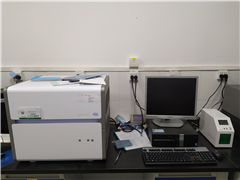 实时荧光定量PCR仪（罗氏480II）